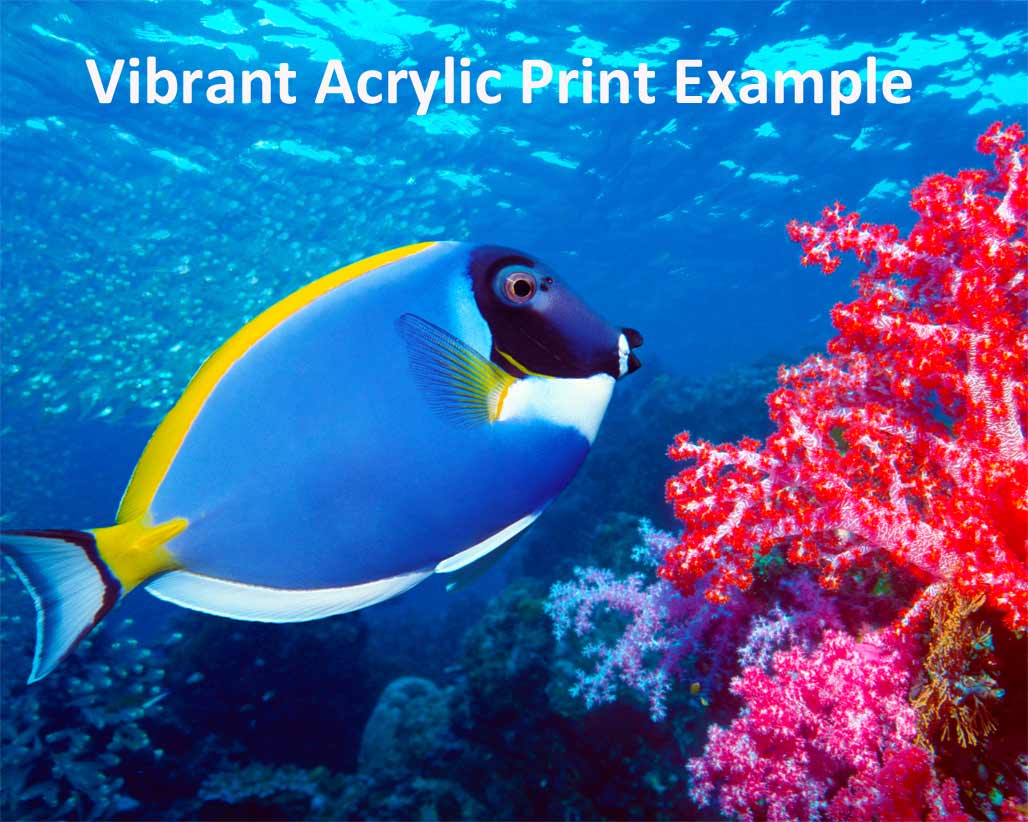 Cindys Antique Art - Acrylic Print Information